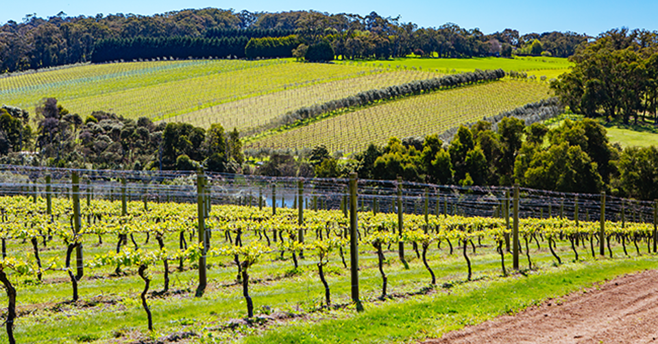 High-risk industries under the microscope during inspections of Mildura ...