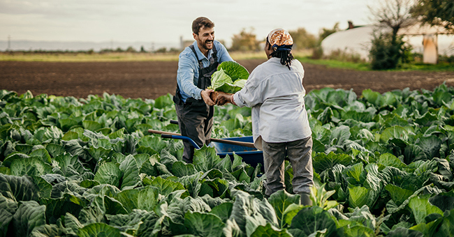 A fair and lawful industry – progress in 2022-23